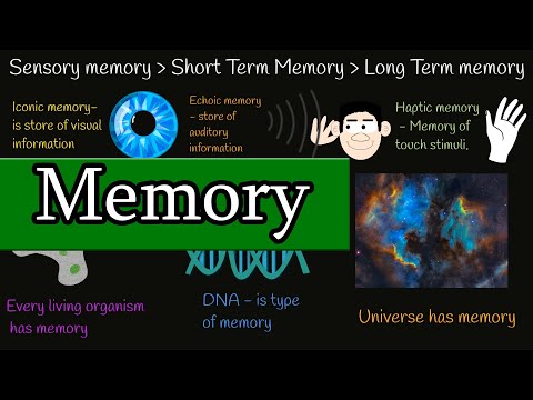Memory - What makes us so special? what is human memory?