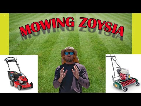 How To Properly Mow Zoysia Grass!!! Have The Best Zoysia Lawn!!!