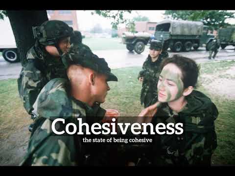 How to Say Cohesiveness in English? | What is Cohesiveness? | How Does Cohesiveness Look?
