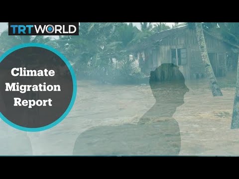 Climate Refugee: A new term to be identified