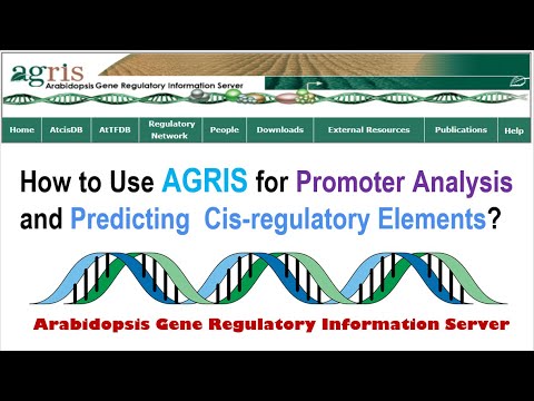 How to Use Agris for Promoter Analysis of Arabidopsis Genes | Step-by-Step Gene Regulation Tutorial