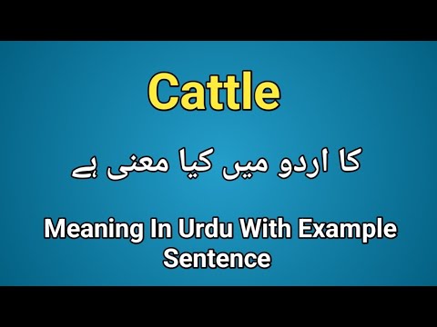 Cattle meaning in urdu/hindi |Cattle k kia matlab hai |Cattle in sentence