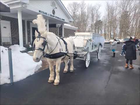 Final Farewell Funeral Carriage Michael J Grant FH to Oakwood Cemetery Bayshore NY Feb 10 2021