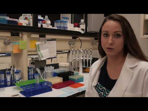 MS Program in San Antonio: Anatomy and Biotechnology