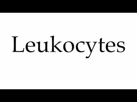 How to Pronounce Leukocytes