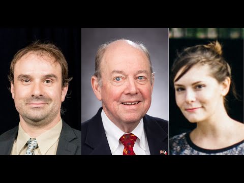 The Demise of Local Newspapers and American Democracy