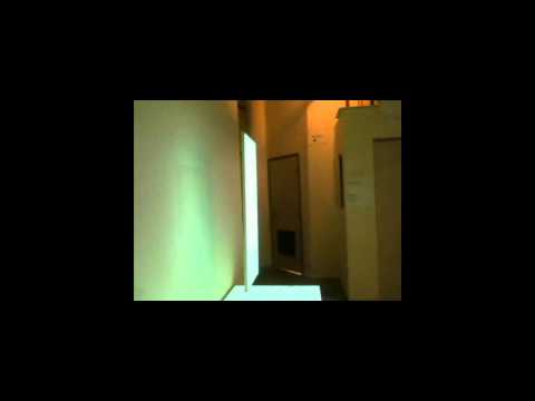 Fount (a video installation by Pamela Z)