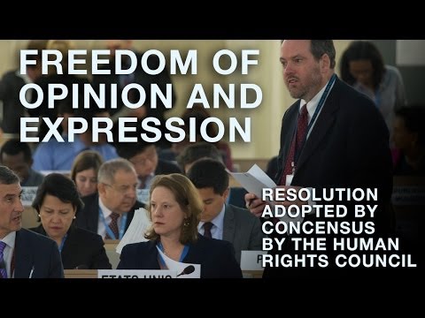 U.S. Introduces Resolution on Freedom of Opinion and Expression