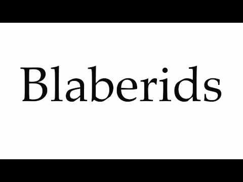 How to Pronounce Blaberids