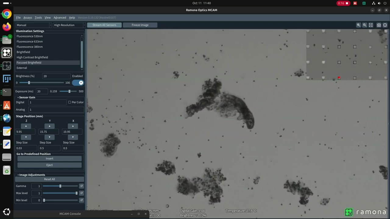 Tardigrades in action under a multi-camera array microscope!