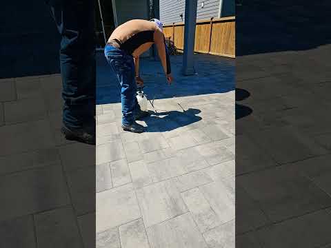 The best way to put sealer on pavers or concrete is to spray it with a hand pump.