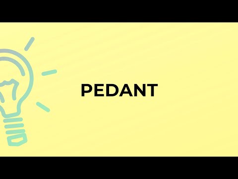What is the meaning of the word PEDANT?