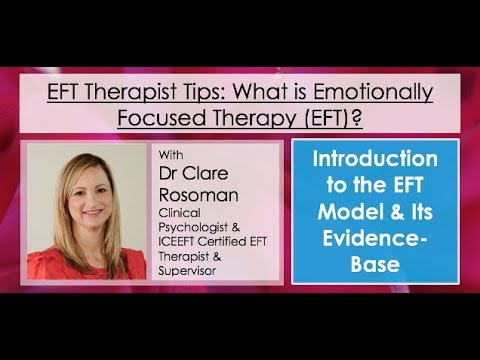 For Couples Therapists - What is EFT?