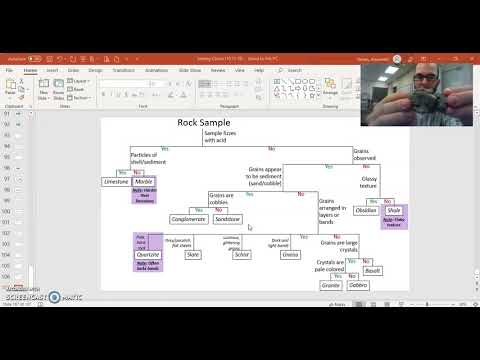 Using Dichotomous Keys