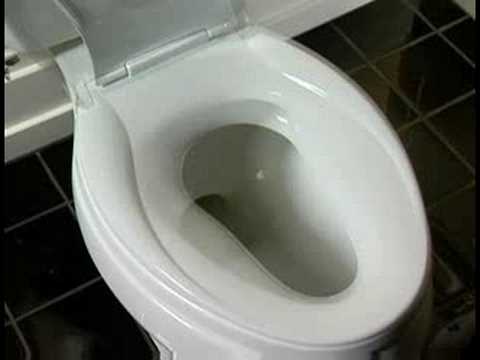 Kohler Transitions Toilet Seat Kohler Toilets
