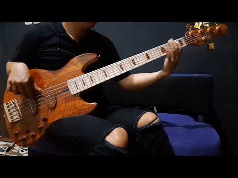 Zeline Guitars J5 J-5 J-style 5-string Bass with Gig Bag | Reverb