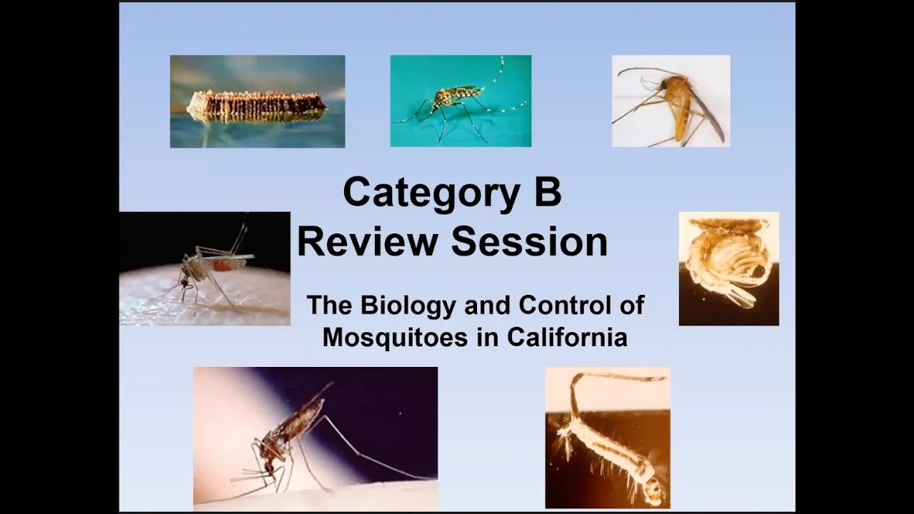 Vector Control Certification Exam Review Session-Category B-2023