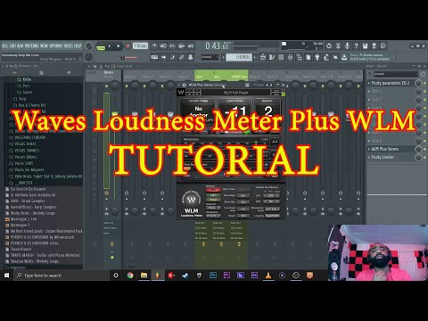 Waves WLM Plus Loudness Meter iMuso