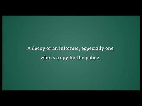 Stool pigeon Meaning