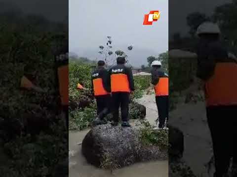 SDRF Team Carries Out Successful Rescue Operation In Kangra, Himachal Pradesh