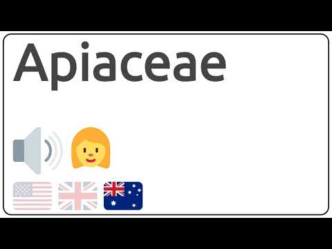 How to pronounce Apiaceae in english?
