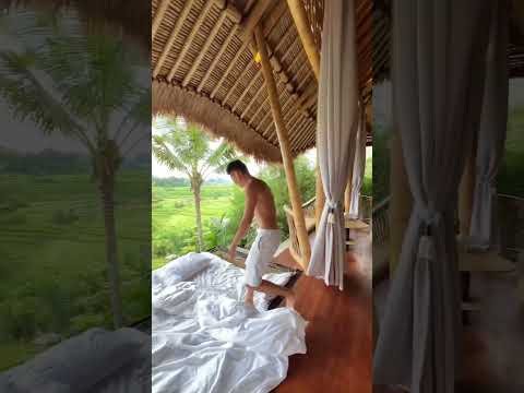 Bamboo Villa in Bali with the view over rice fields 🌾😍
