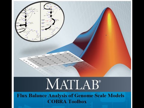 Flux Balance analysis, E.coli Genome Scale model, MATLAB &COBRA Toolbox , Butanol Pathway simulation