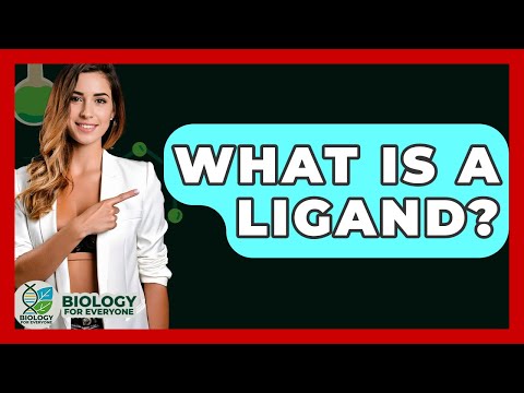 What Is A Ligand? - Biology For Everyone