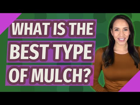 What is the best type of mulch?