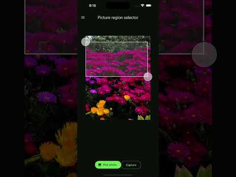 Picture region selector demo (gesture handler + reanimated)
