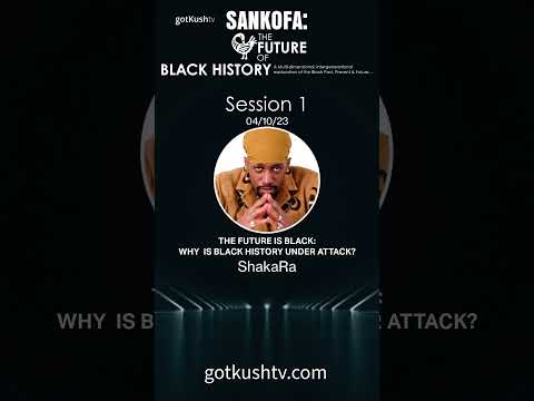 Sankofa the Future of Black History
