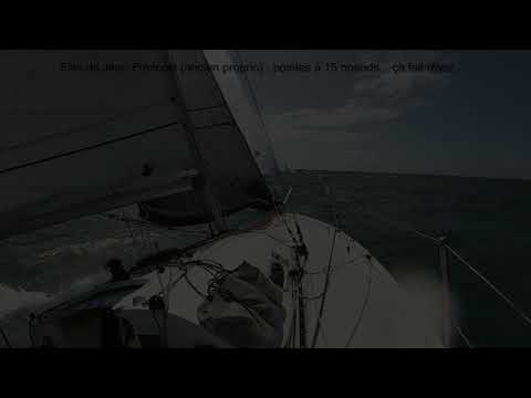 Découverte et achat du bateau | Mini-Transat 2023 / SAS 2024 – Nicolas ...