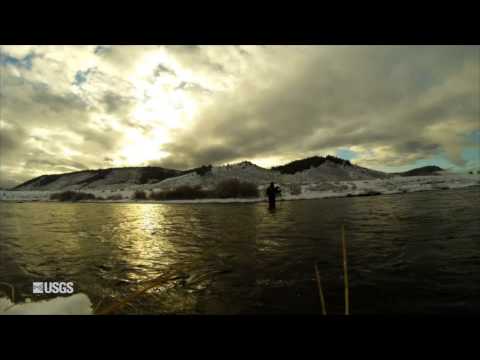 Time-lapse of Streamflow Measurement