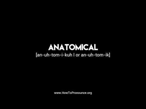 How to Pronounce "anatomical"