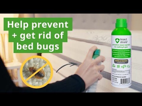 How to Prevent and Treat Bed Bugs with Permethrin Spray
