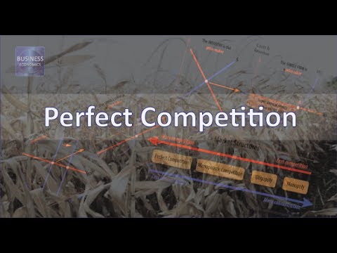 Perfect Competition