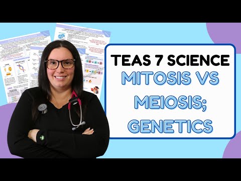 2025 ATI TEAS Science Mitosis vs Meiosis & Genetics Study Guide (with Practice Questions)