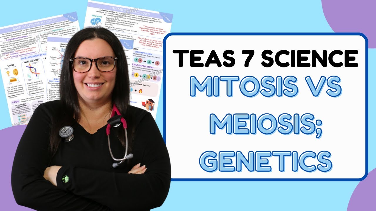 Understanding Mitosis, Meiosis, and Genetics: A Comprehensive Study ...