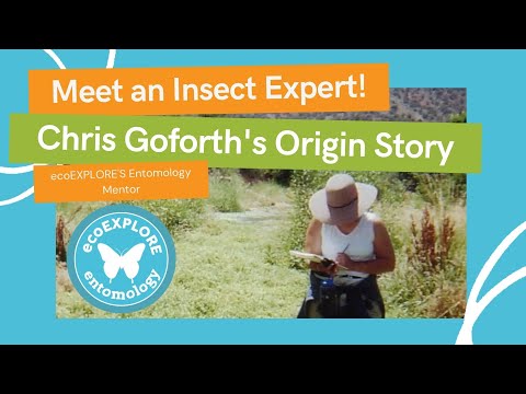 Meet an Insect Expert!