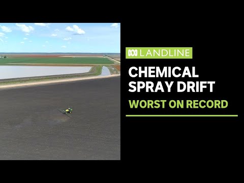 Drift from chemical spray causes millions in damage to cotton crops | Landline