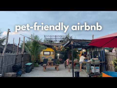 life lately | a weekend in zambales for nala's bday celebration🎉