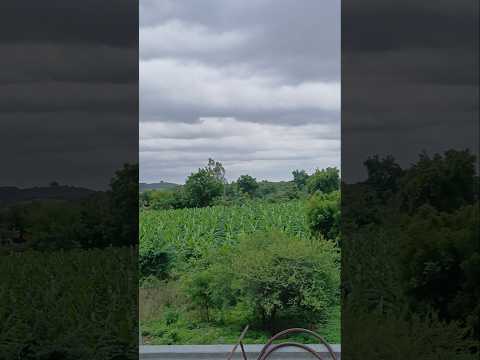 Weather In My Village | माझ्या गावचे वातावरण #villagelife #weather #nature #shorts