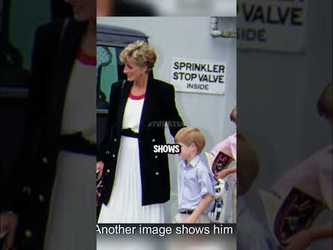 Prince William’s Powerful Words: Homelessness, Diana’s Legacy, and Brotherly Bonds