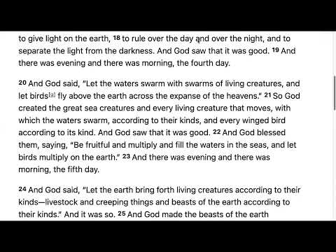 Genesis 1 & 2 | In The Beginning | Bible Study at B.E.L.I.E.V.E.