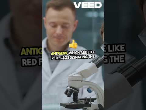 Understanding AMA Test for PBC Diagnosis