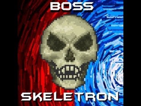 Steam Community :: Video :: Killing Skeletron with Phoenix Blaster terraria