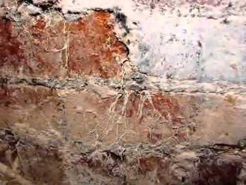 Allied Damp Proofing & Drying Solutions
