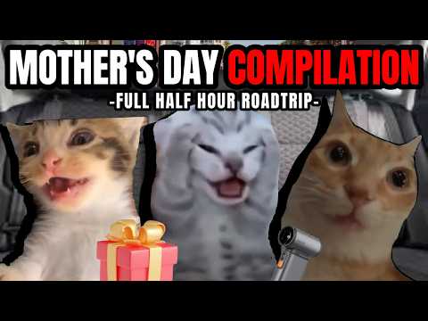 Cat MEMES: MOTHER'S DAY ROADTRIP FULL COMPILATION