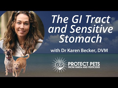 The GI Tract and Sensitive Stomach with Dr. Karen Becker, DVM