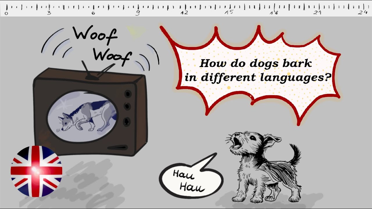 How do dogs bark in different languages? | English Podcast